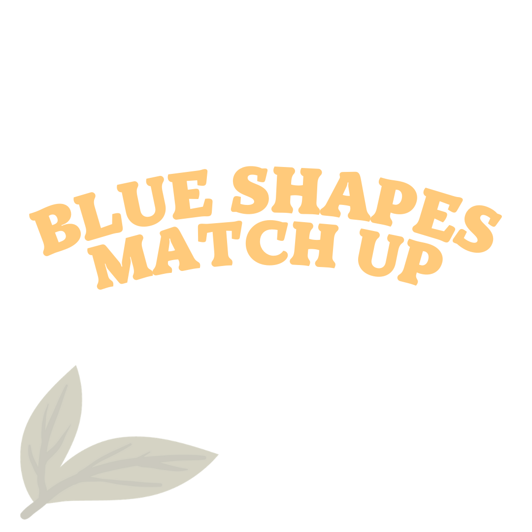 BLUE SHAPES MATCH UP FLASHCARDS – Fawn and Finch